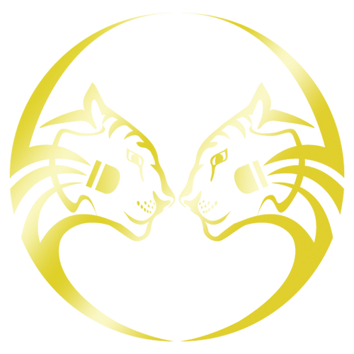 Training program – Twin Tigers Sports